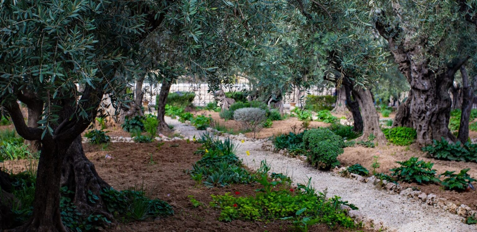 garden of gethsemene jesus holy week (1) - FaithGateway Pages